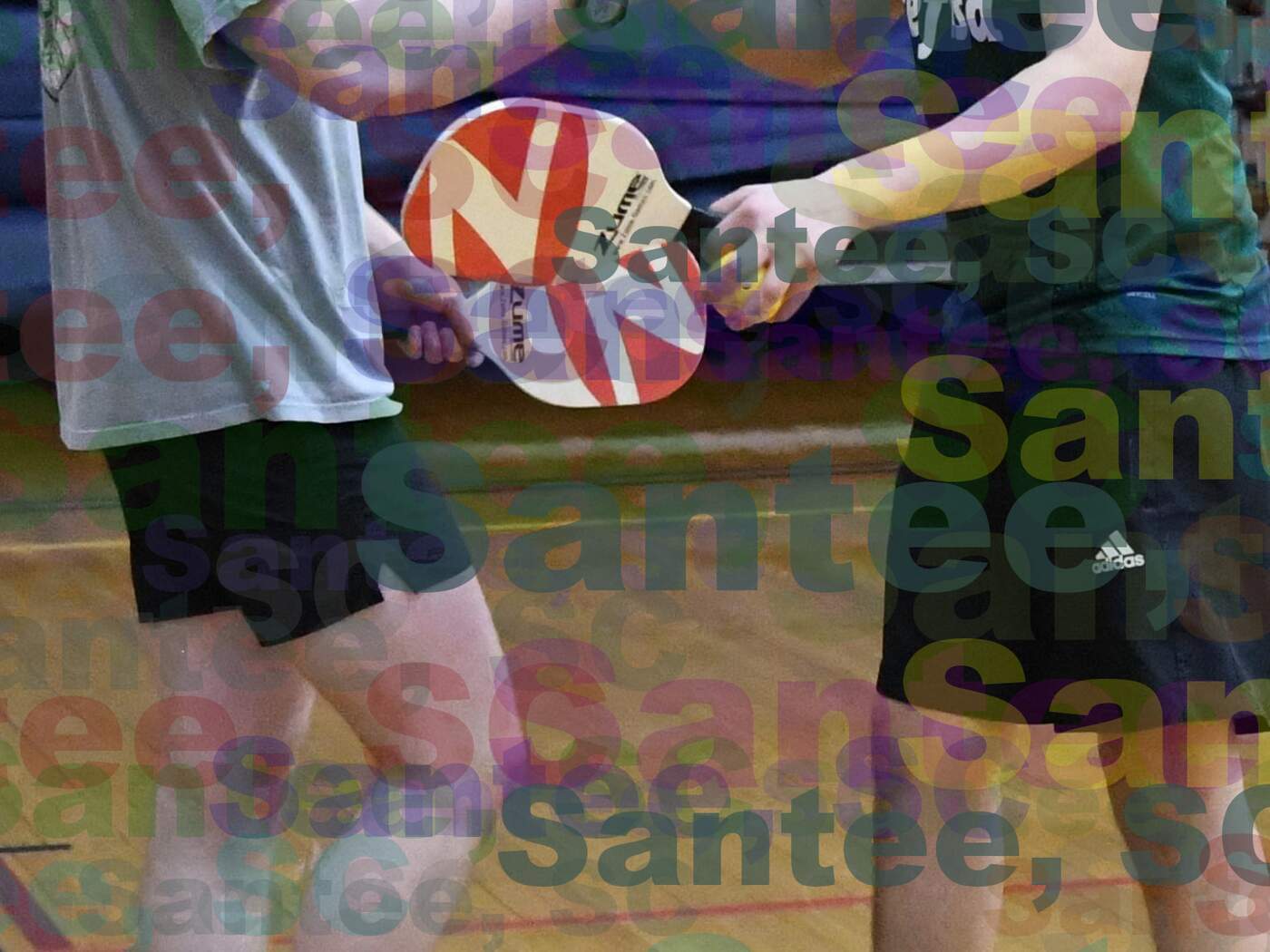 Santee Pickleball | Courts & Community Events